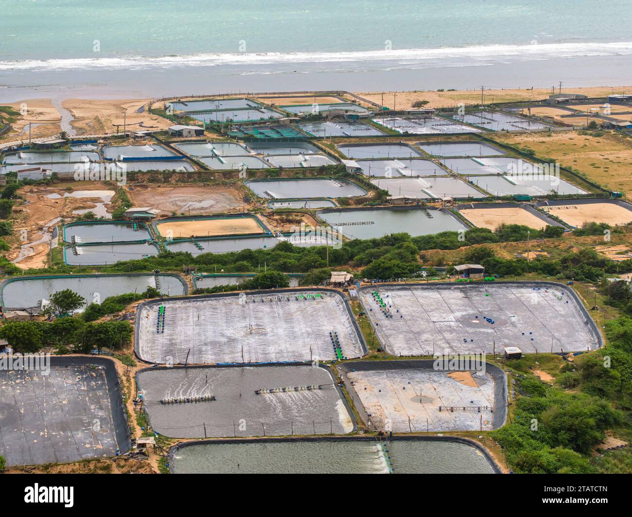Shrimp farms aerial view in the Ninh Thuan, Vietnam Stock Photo - Alamy