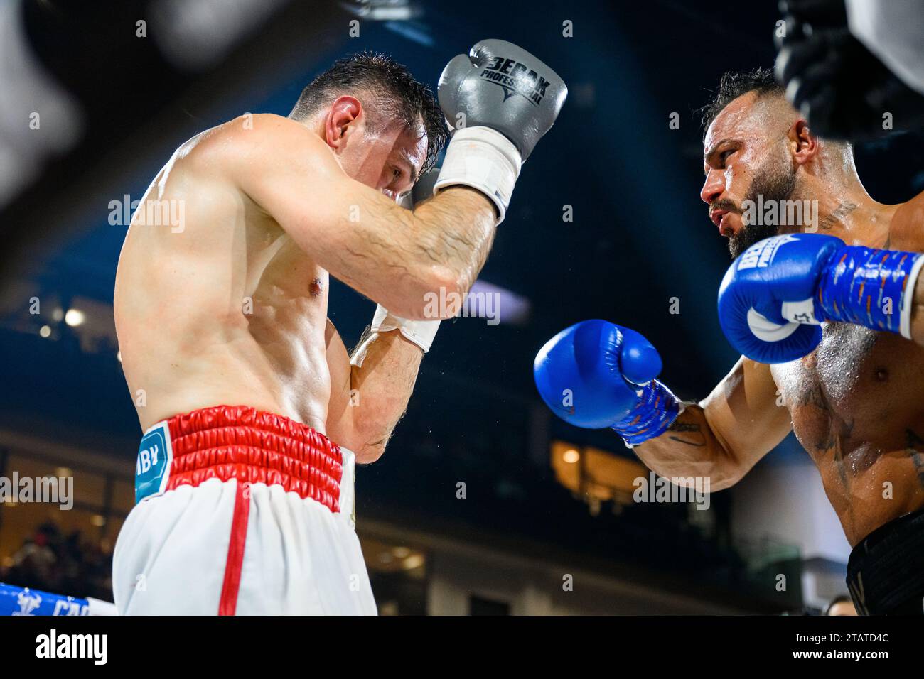 Ludwigsburg, Germany. 03rd Dec, 2023. Boxing: Light heavyweight, Felix ...