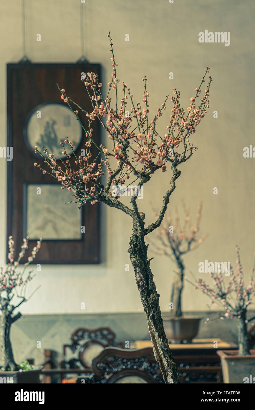 Lion grove garden art hi-res stock photography and images - Alamy