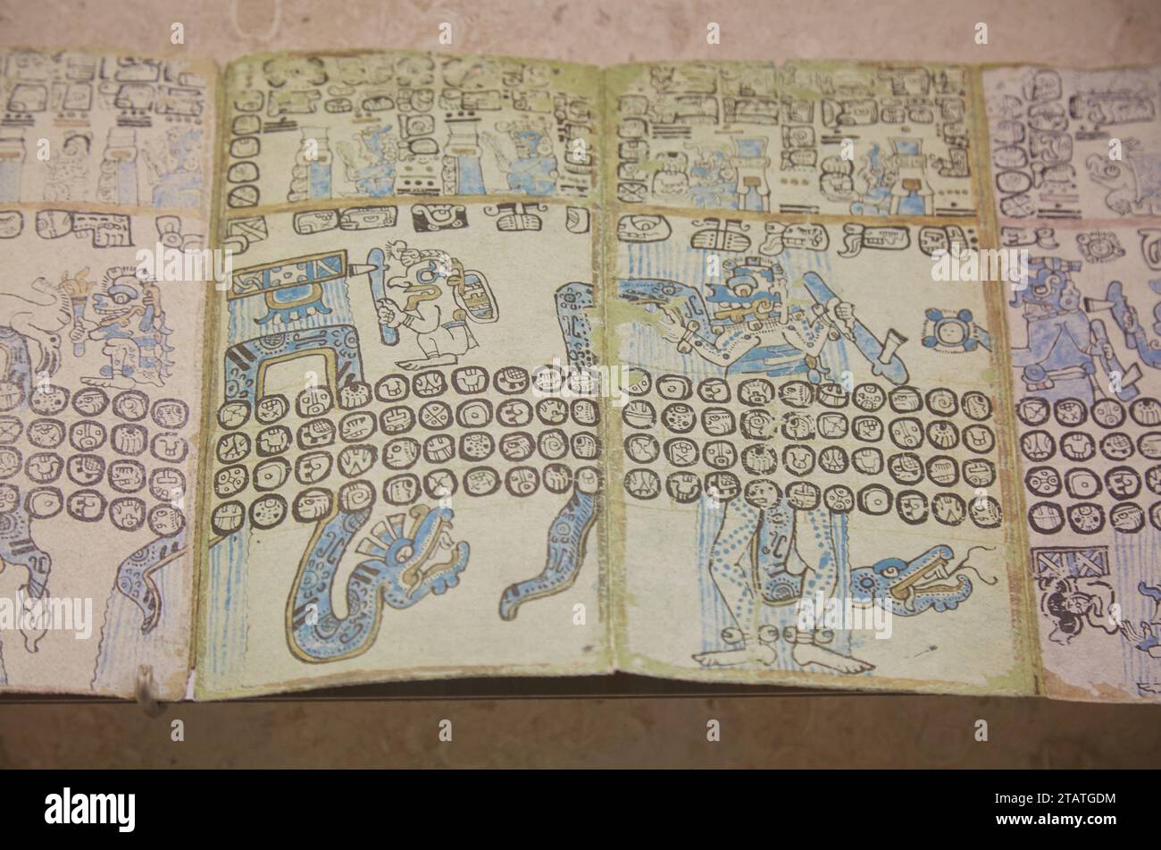 The Gran Museo del Mundo Maya in Merida. Yacatan Stock Photo - Alamy