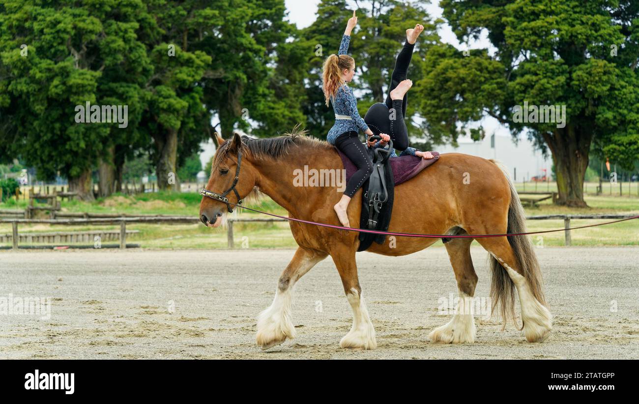 Marchwood Park, Motueka, Tasman District, Aotearoa / New Zealand – December 2, 2023: Acrobat ...