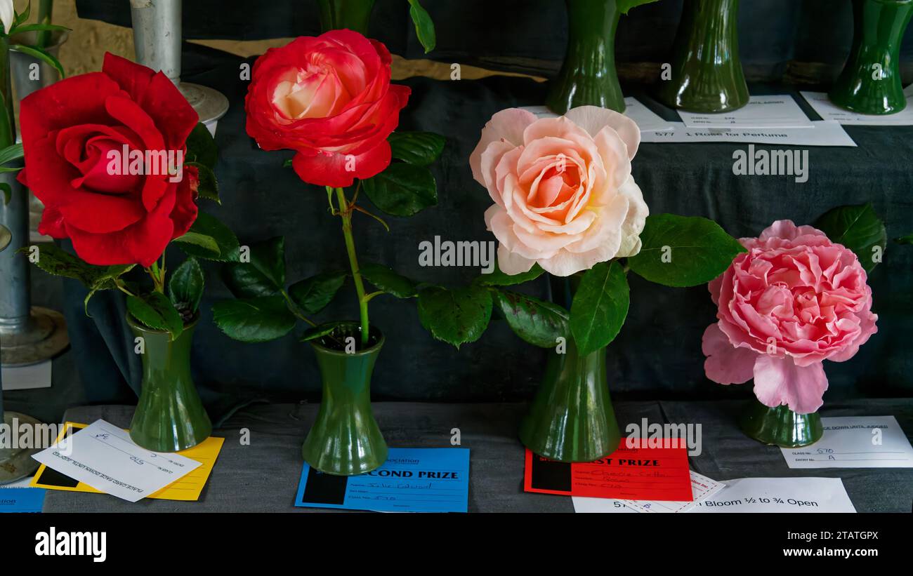 Prize winners a hi-res stock photography and images - Alamy