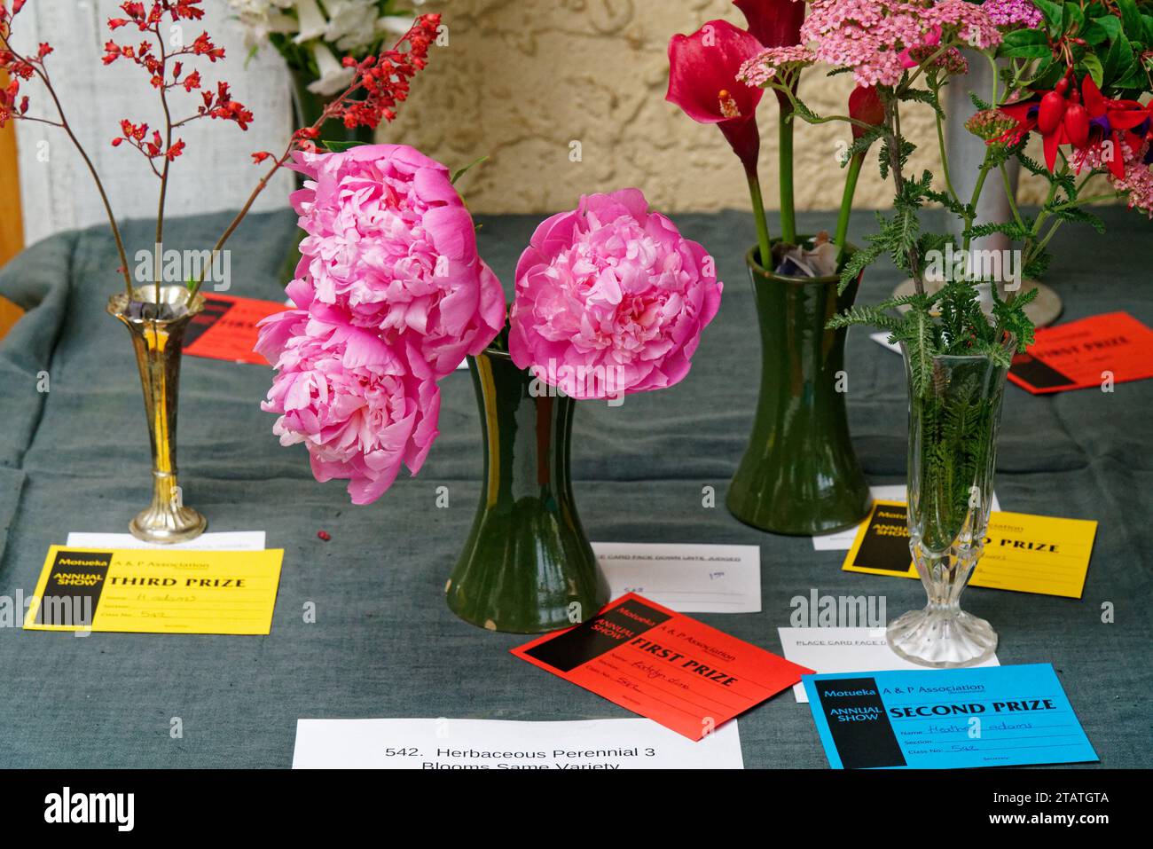 Marchwood Park, Motueka, Tasman District, Aotearoa / New Zealand ...