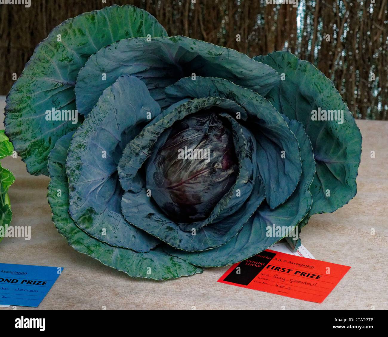 Marchwood Park, Motueka, Tasman District, Aotearoa / New Zealand ...