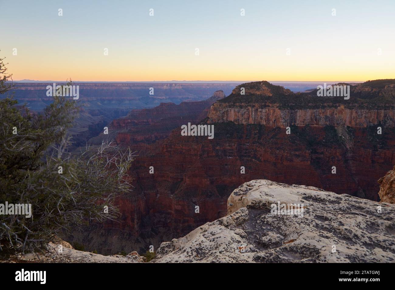 The stunning views of the Grand Canyon North Rim Stock Photo - Alamy