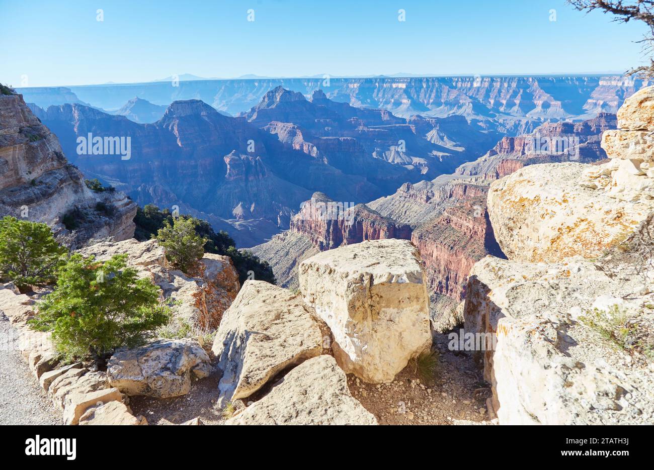 The stunning views of Bright Angel Point at the Grand Canyon North Rim ...