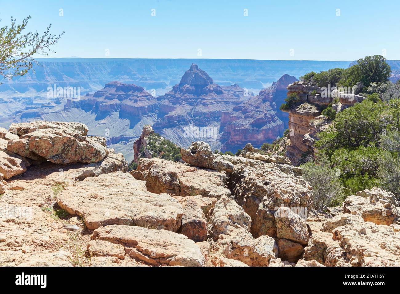 The stunning views of the Grand Canyon North Rim Stock Photo - Alamy