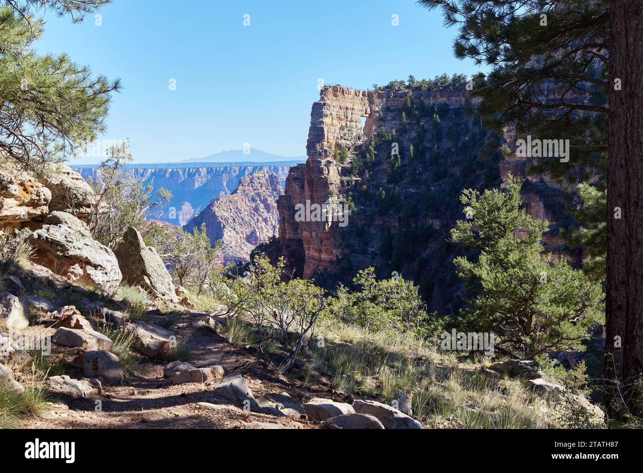 The stunning views of the Grand Canyon North Rim Stock Photo - Alamy
