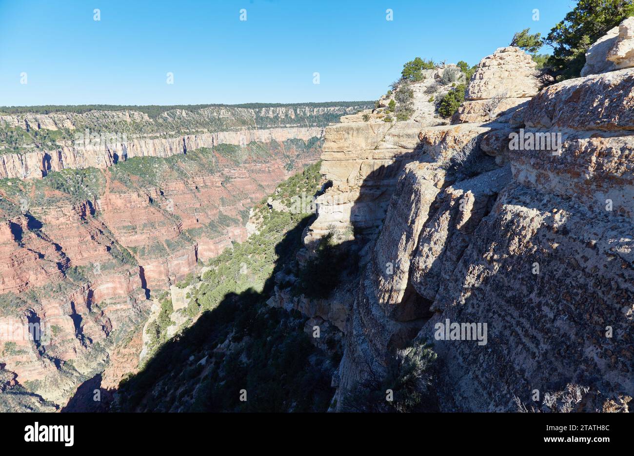The stunning views of Bright Angel Point at the Grand Canyon North Rim ...