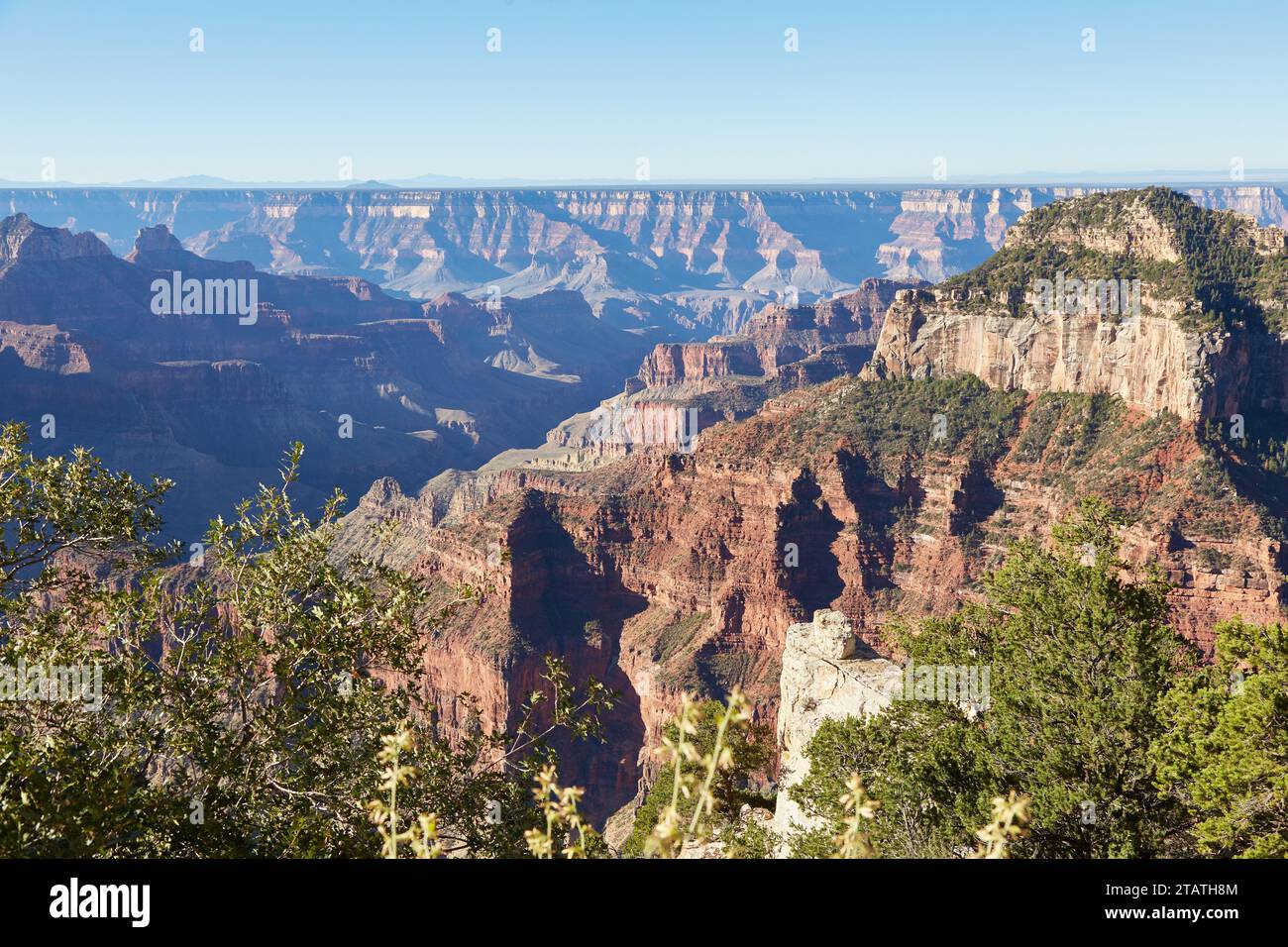The stunning views of Bright Angel Point at the Grand Canyon North Rim ...