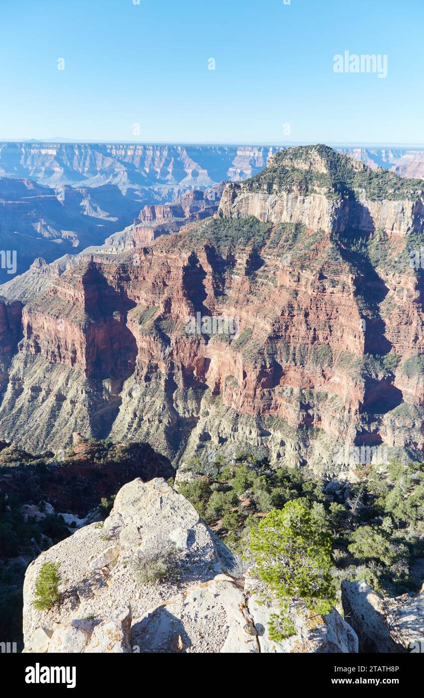 The stunning views of Bright Angel Point at the Grand Canyon North Rim ...