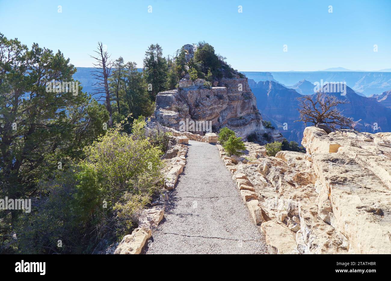 The stunning views of Bright Angel Point at the Grand Canyon North Rim ...
