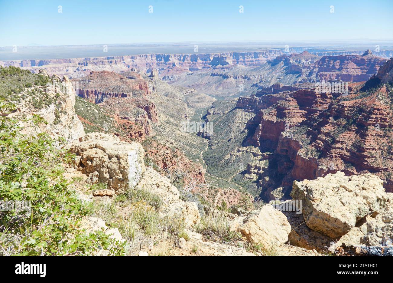 The stunning views of the Grand Canyon North Rim Stock Photo - Alamy