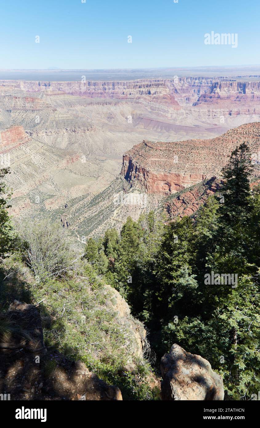 National final hi-res stock photography and images - Alamy