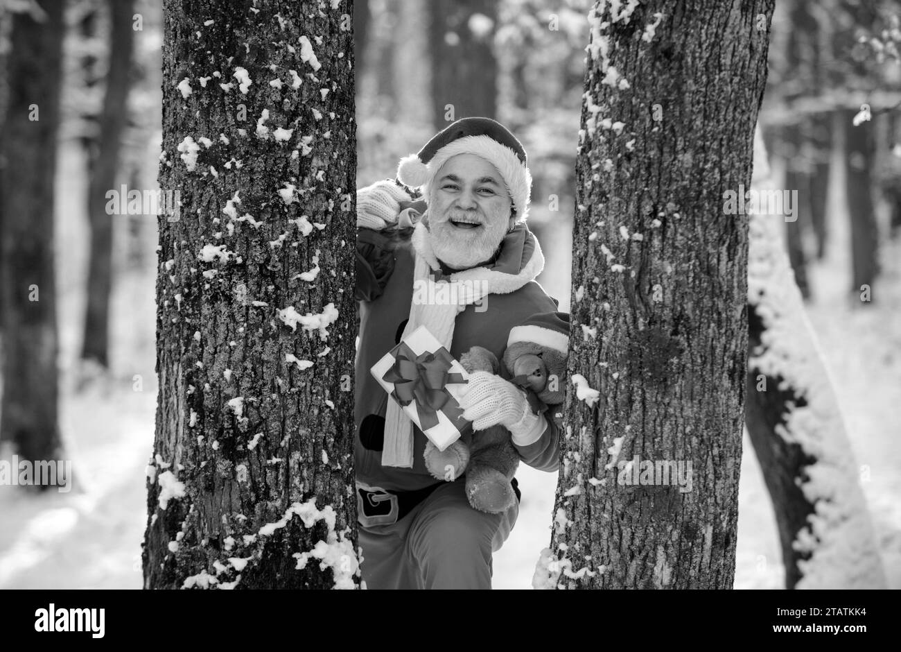 Santa Claus in the winter forest with a bag of gifts, snow landscape ...