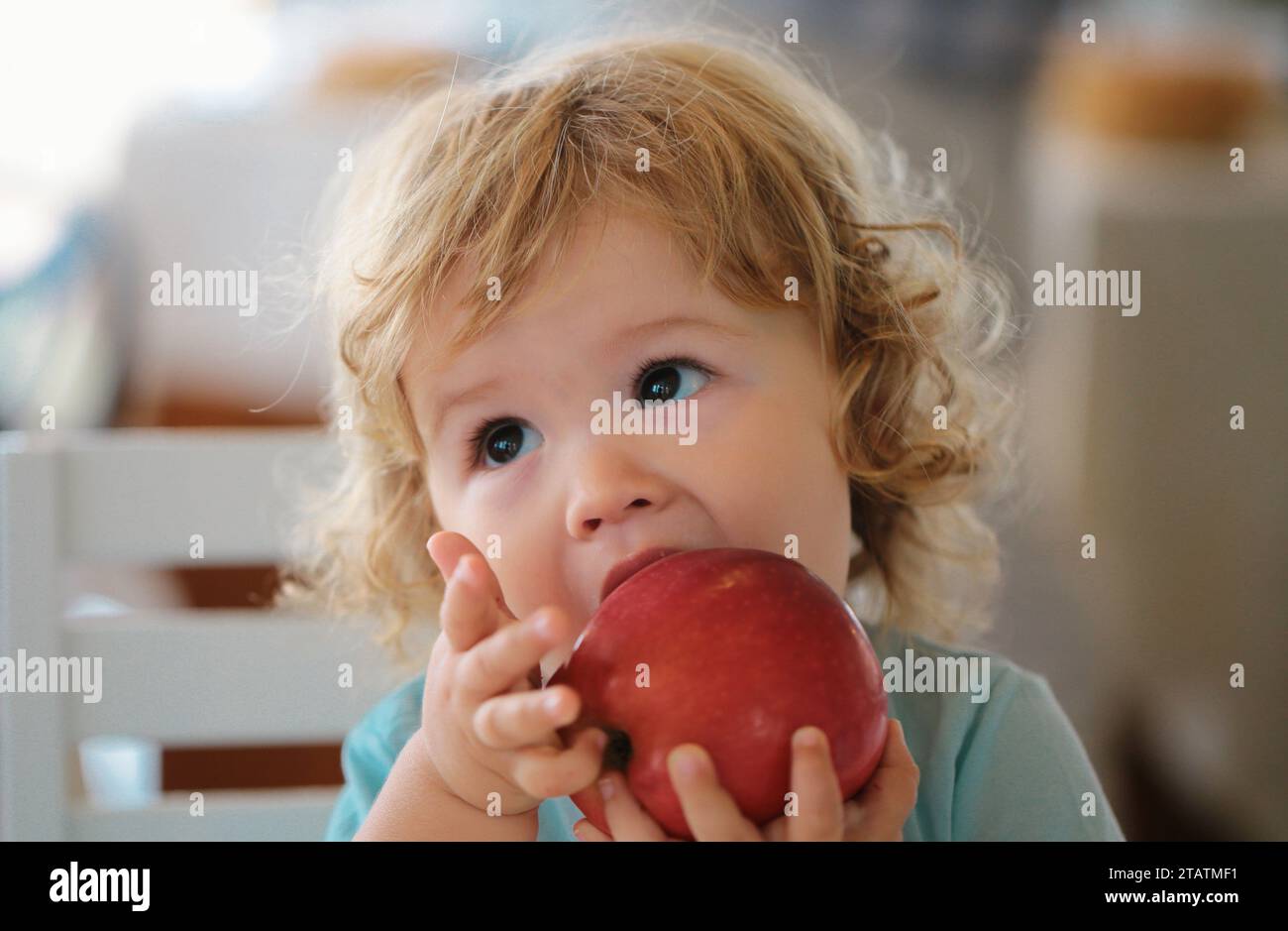 Cute baby eat apple. Portrait of cute adorable caucasian child kid ...