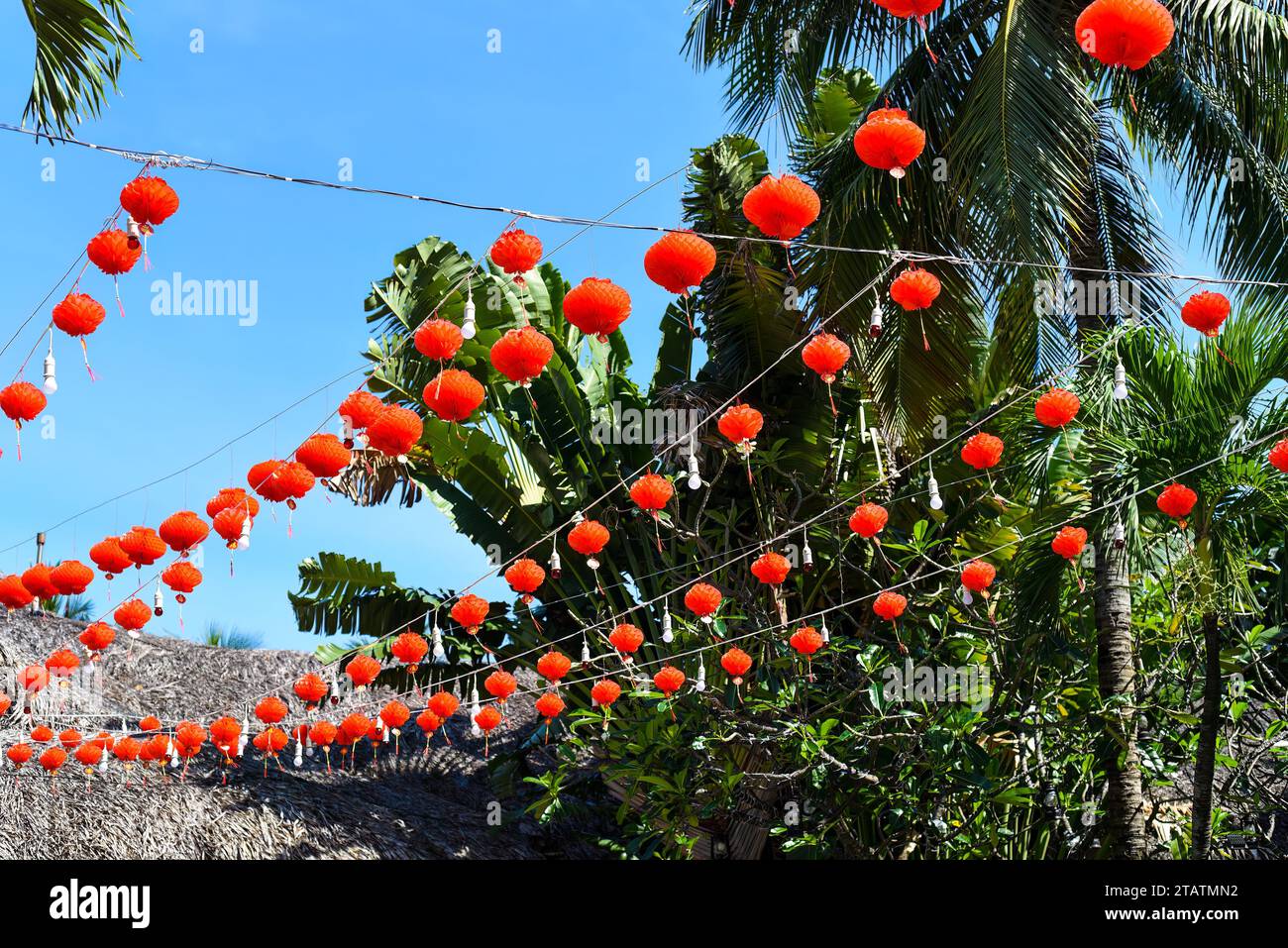 Tet vietnam hi-res stock photography and images - Alamy