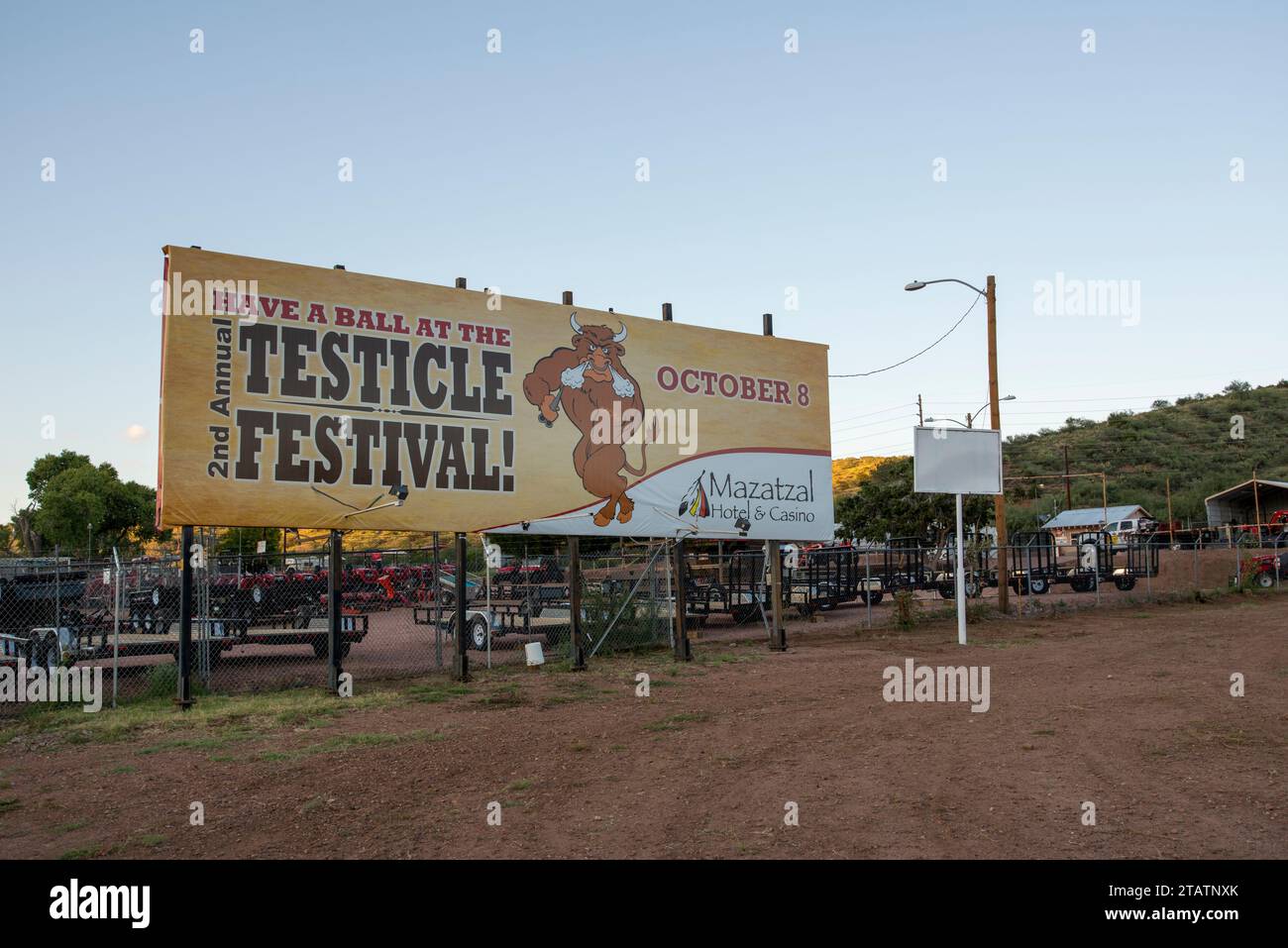 Billboard advertising "Testicle Festival Stock Photo - Alamy