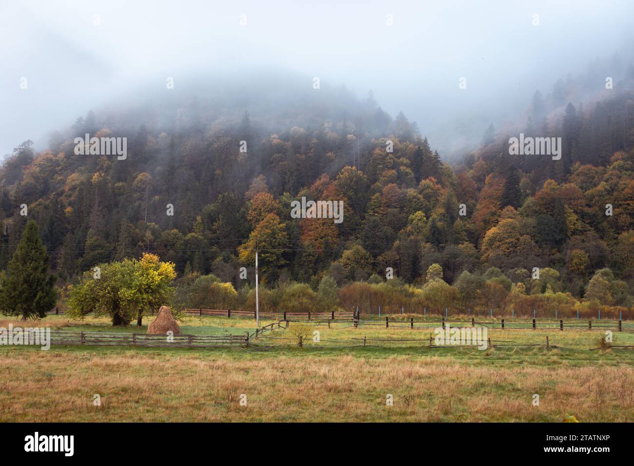 Haystack on pasture in autumn mountains. Valley of the Carpathian ...