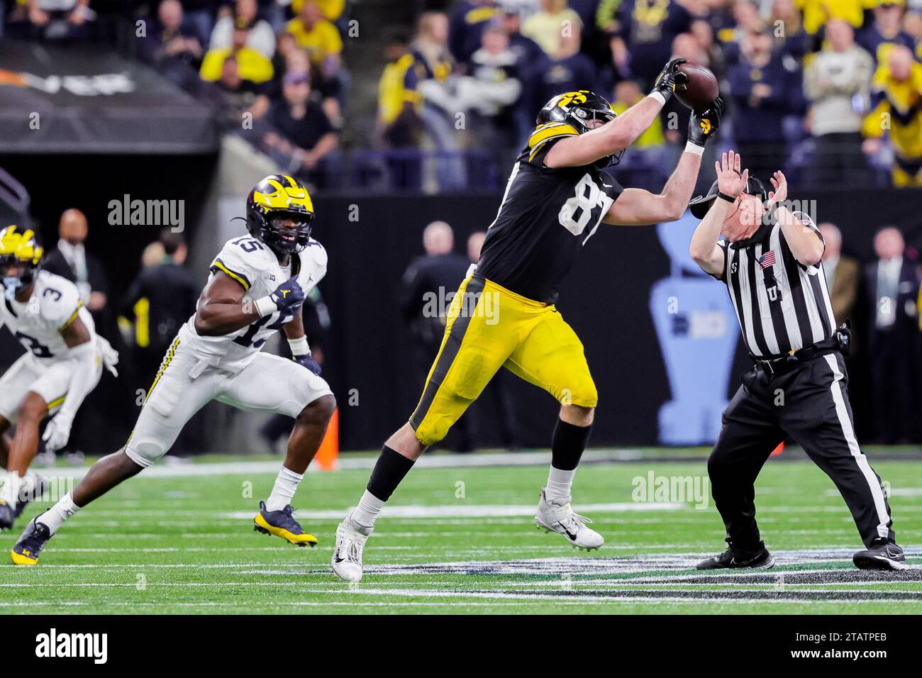 Indianapolis, Indiana, USA. 2nd Dec, 2023. Iowa Hawkeyes tight end ...