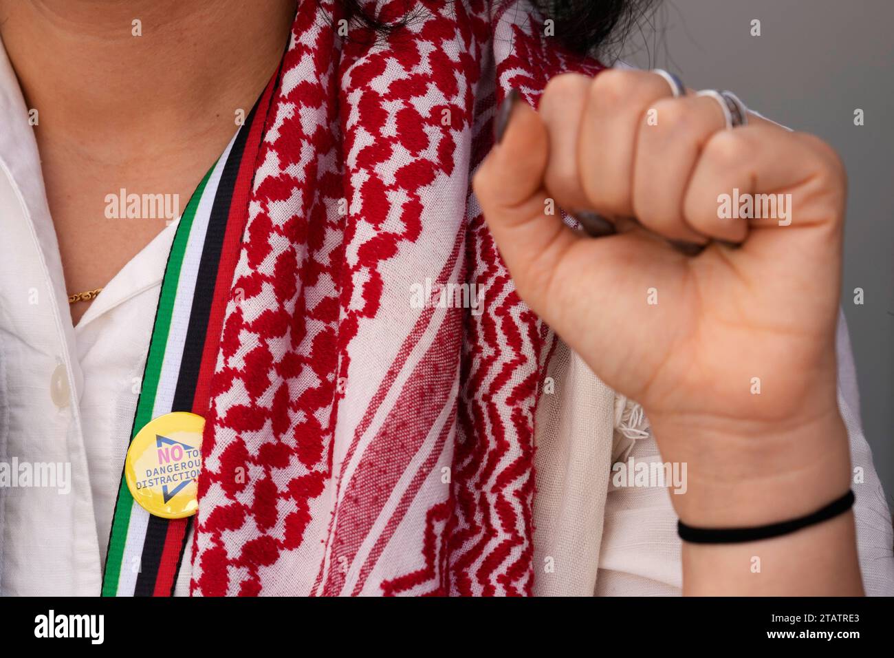 A demonstrator hold up her fist and a sign calling for a ceasefire in ...