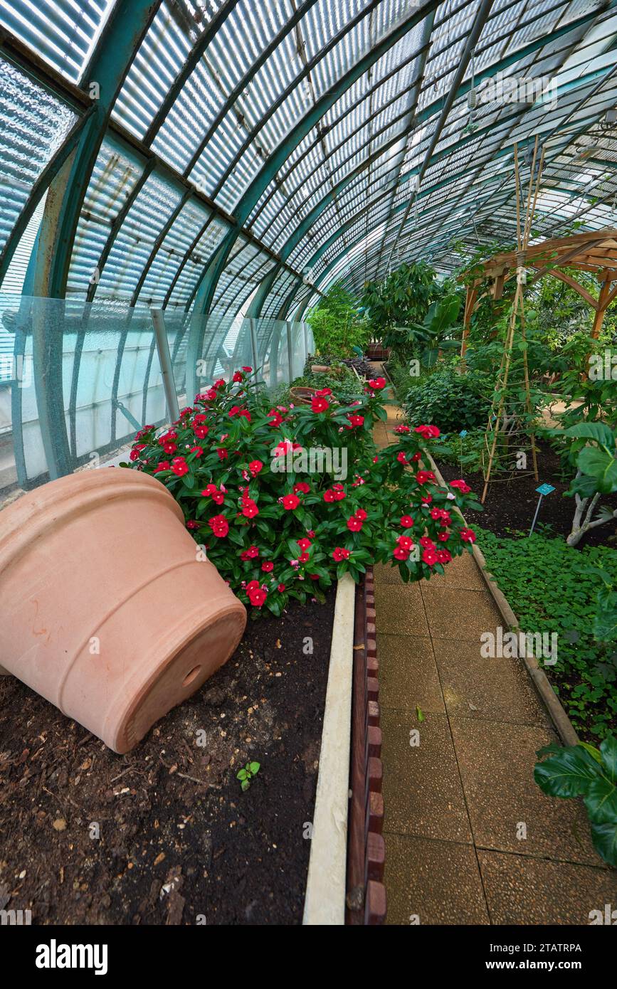 The greenhouses of the city of paris hi-res stock photography and ...