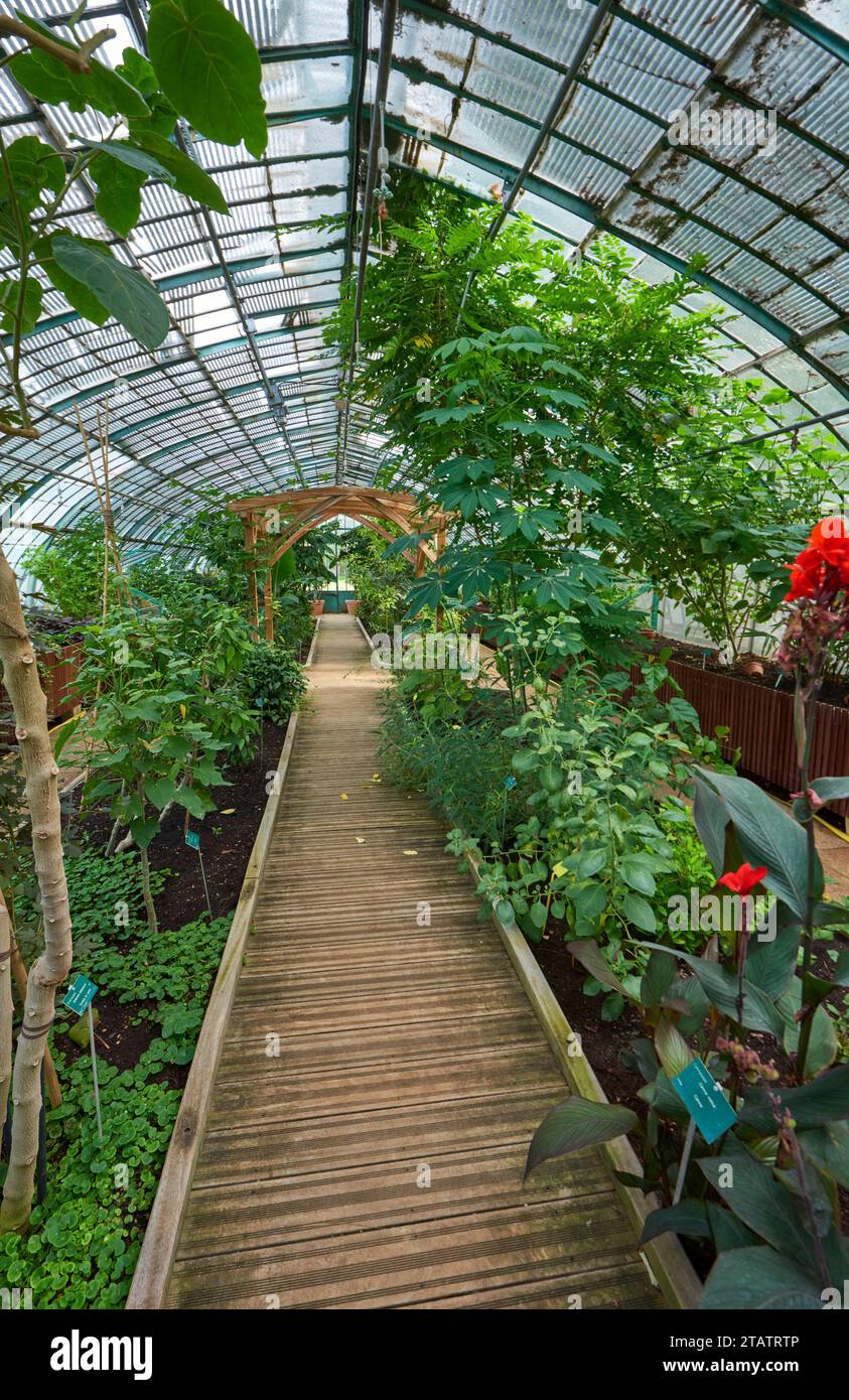 Greenhouses in the Auteuil botanical garden, Paris, France Stock Photo ...
