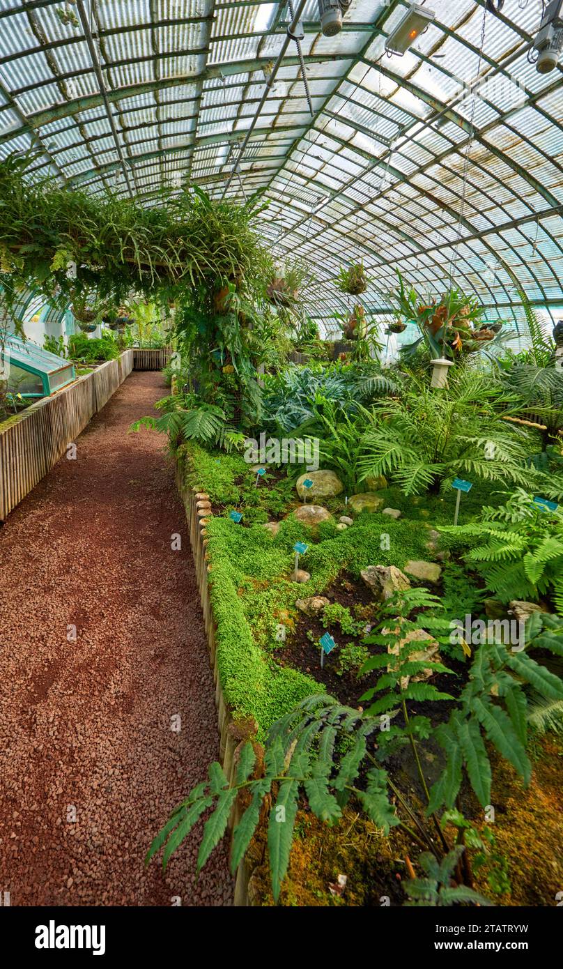 The greenhouses of the city of paris hi-res stock photography and ...