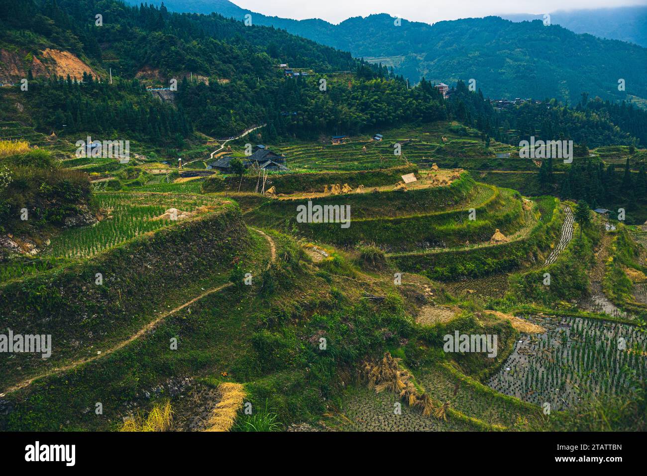 Terrace Field in Jiabang Guizhou Stock Photo - Alamy
