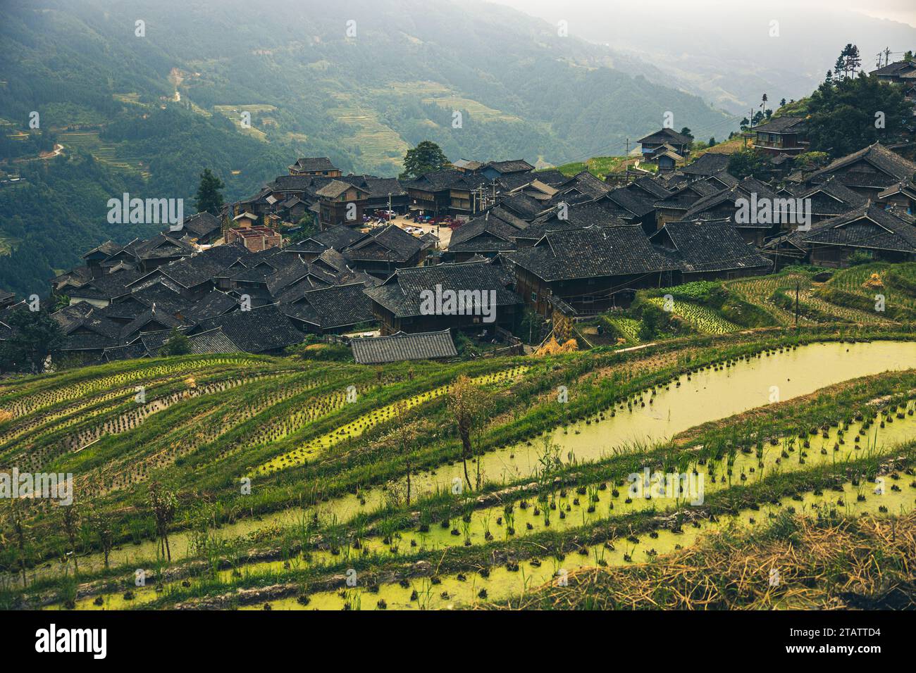 Terrace Field in Jiabang Guizhou Stock Photo - Alamy