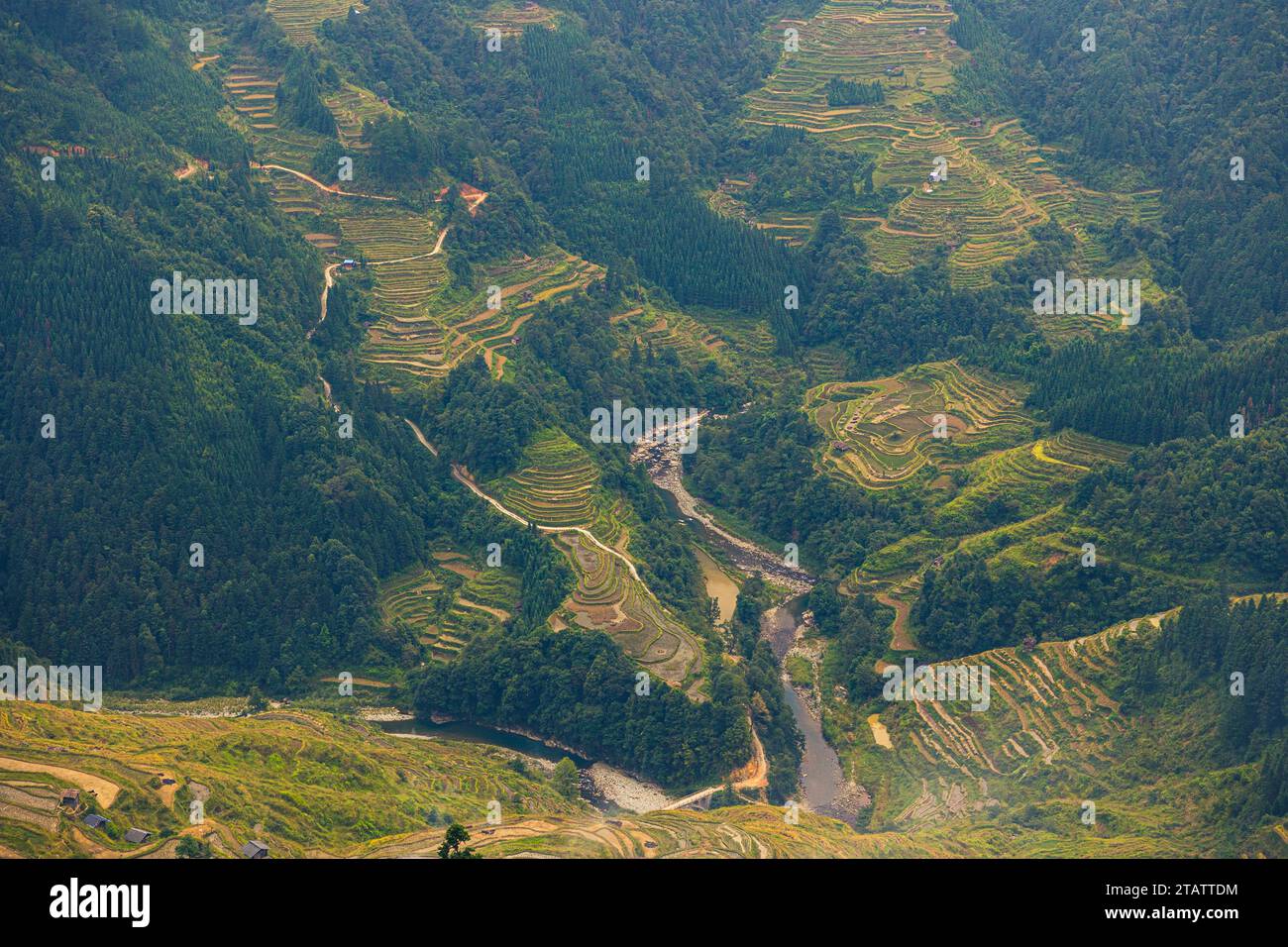 Terrace Field in Jiabang Guizhou Stock Photo - Alamy