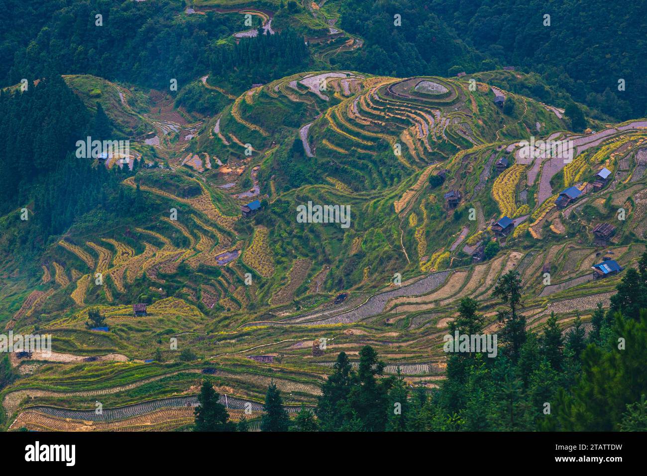 Terrace Field in Jiabang Guizhou Stock Photo - Alamy