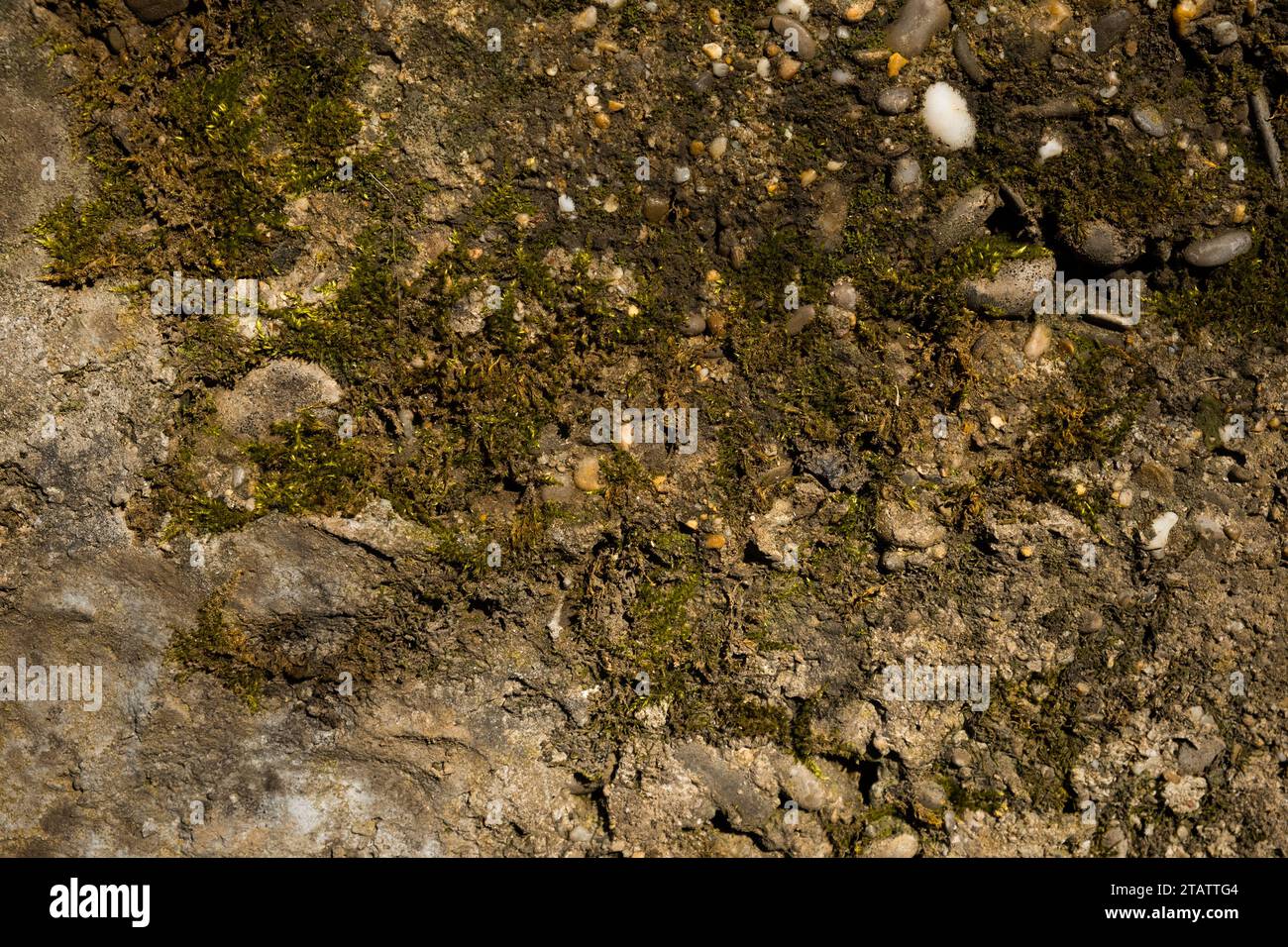 Geology presentations hi-res stock photography and images - Alamy