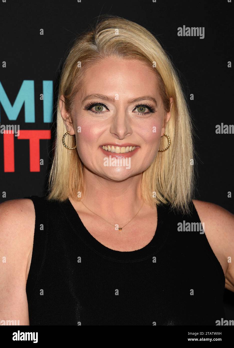 LOS ANGELES, CALIFORNIA - NOVEMBER 29: Lauren Ash attends the premiere ...