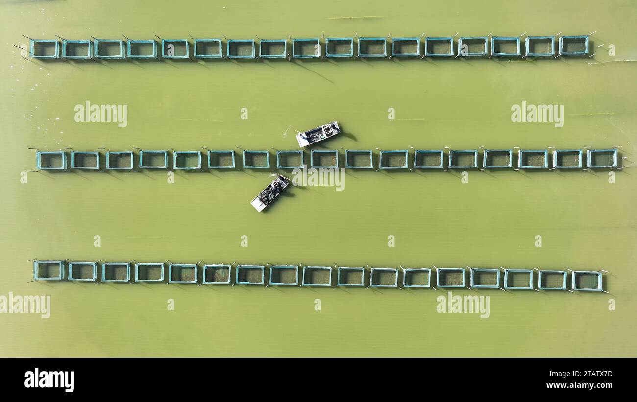 SUQIAN, CHINA - DECEMBER 2, 2023 - Crab farmers catch crabs at a hairy ...