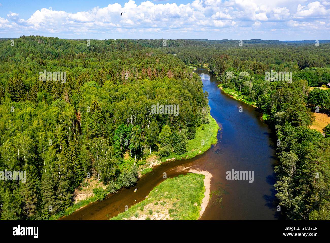 Aerial view of a Gauja river, beautiful river surrounded with lush ...