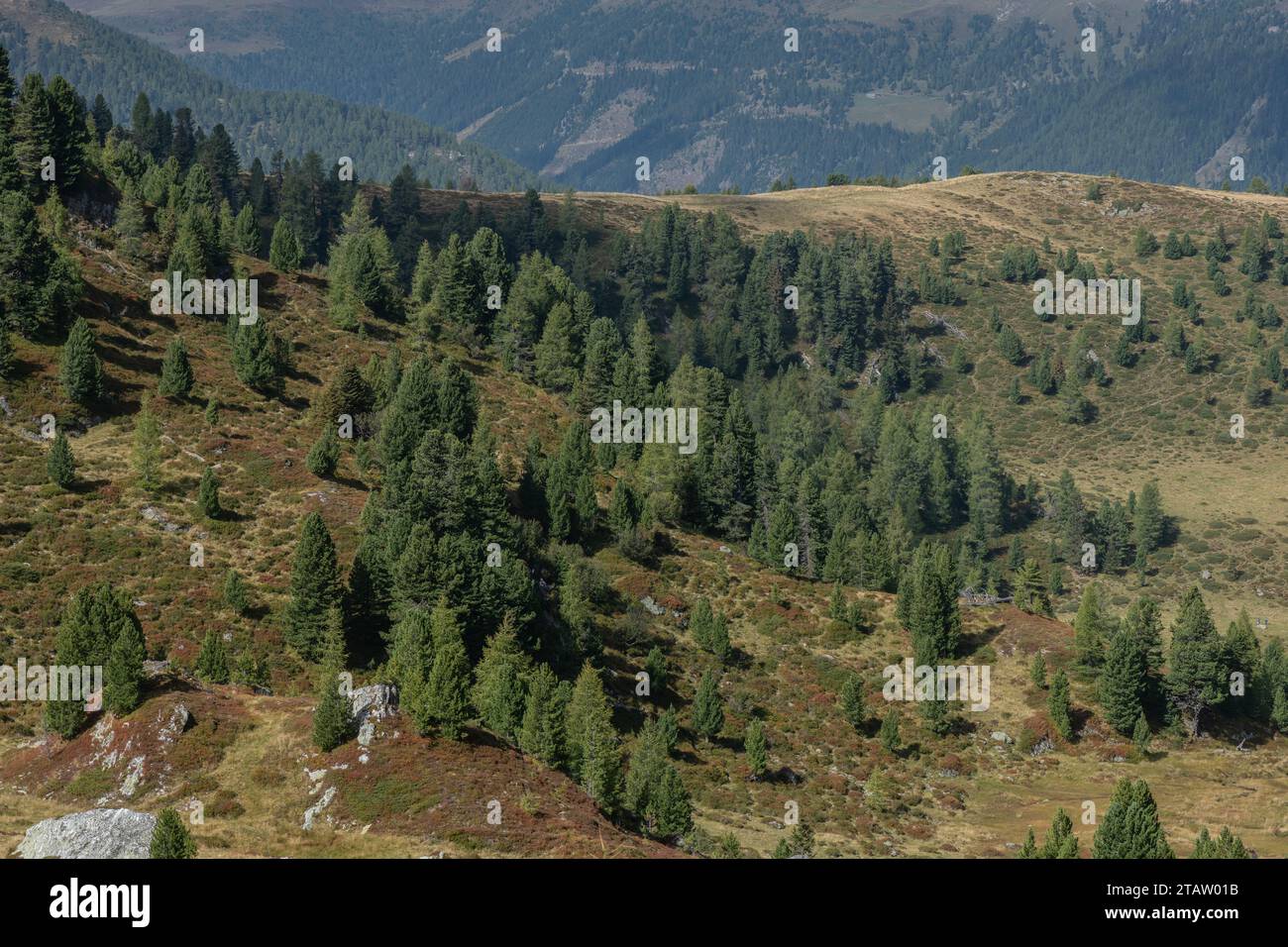 Biospharenpark nockberge hi-res stock photography and images - Alamy