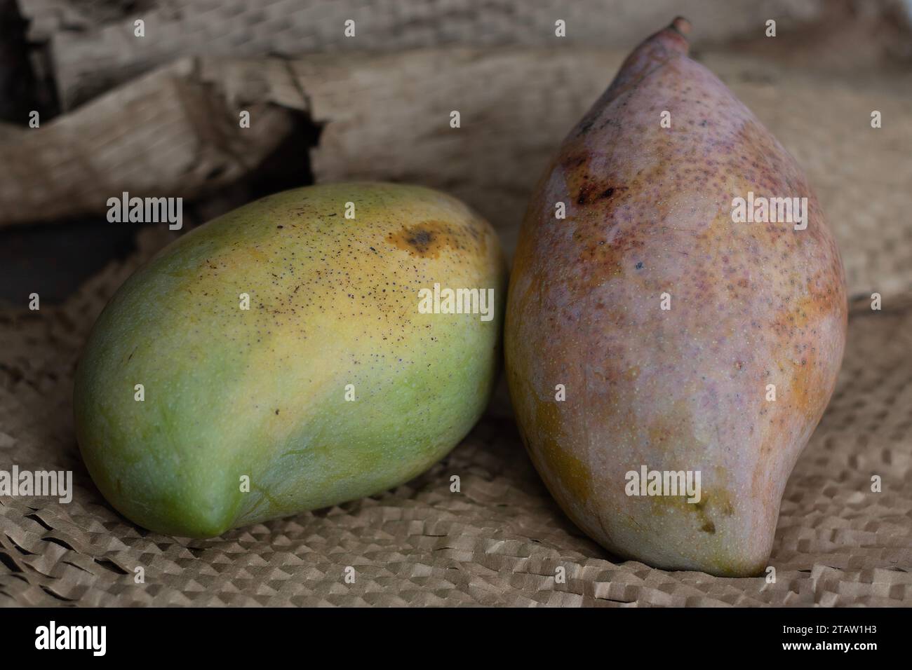 Mangos maharashtra hi-res stock photography and images - Alamy