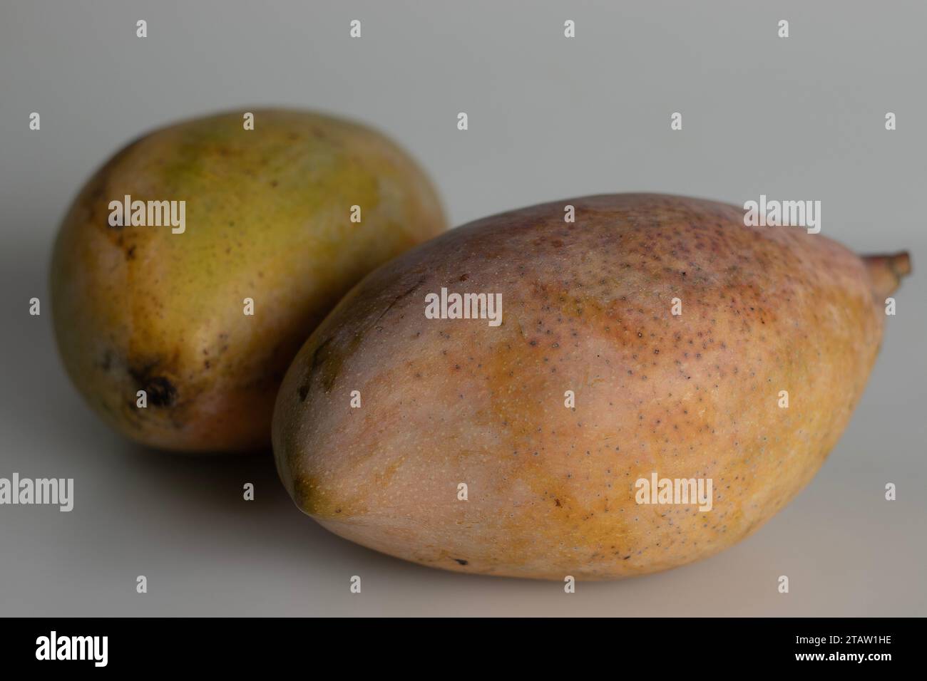 Fresh large totapuri mangoes, juicy and vibrant in color. It is oblong ...