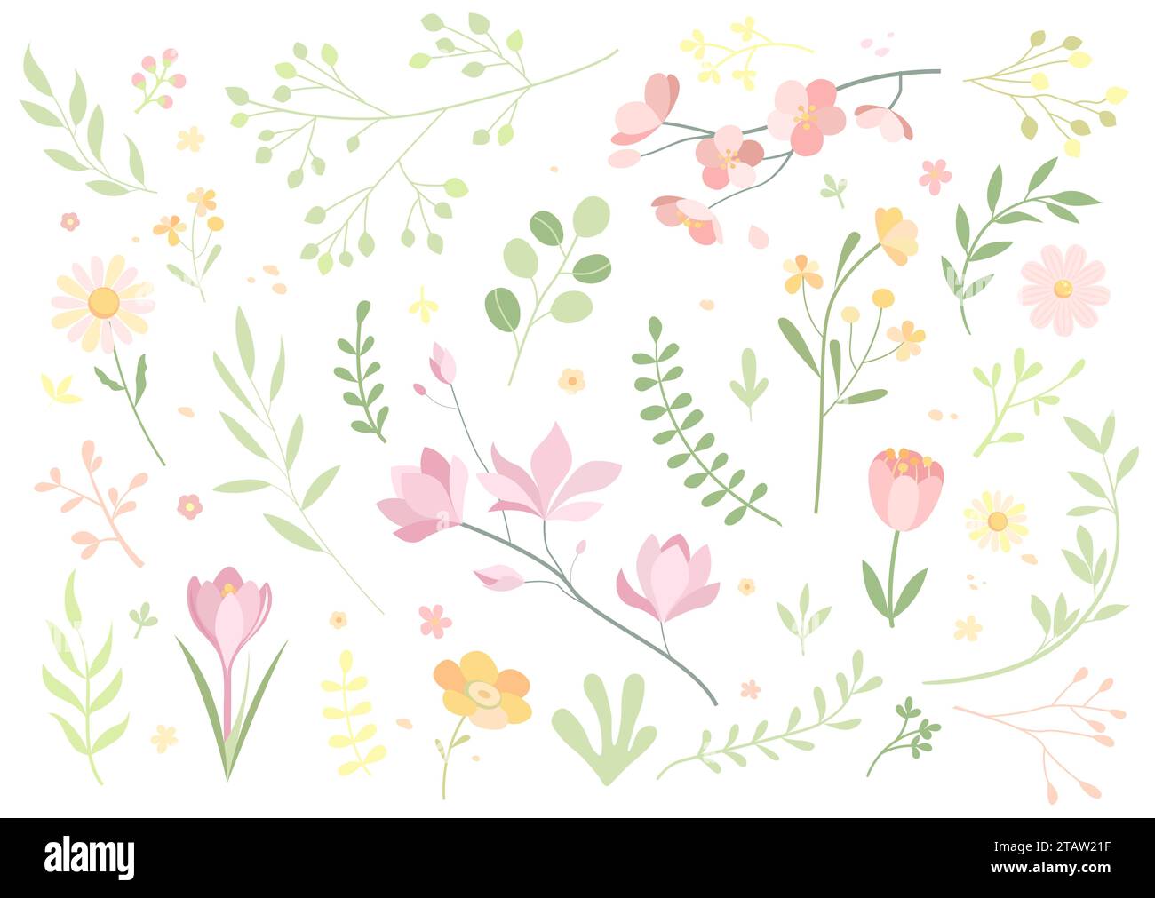 Eucalyptus tree silhouette clipart hi-res stock photography and images ...