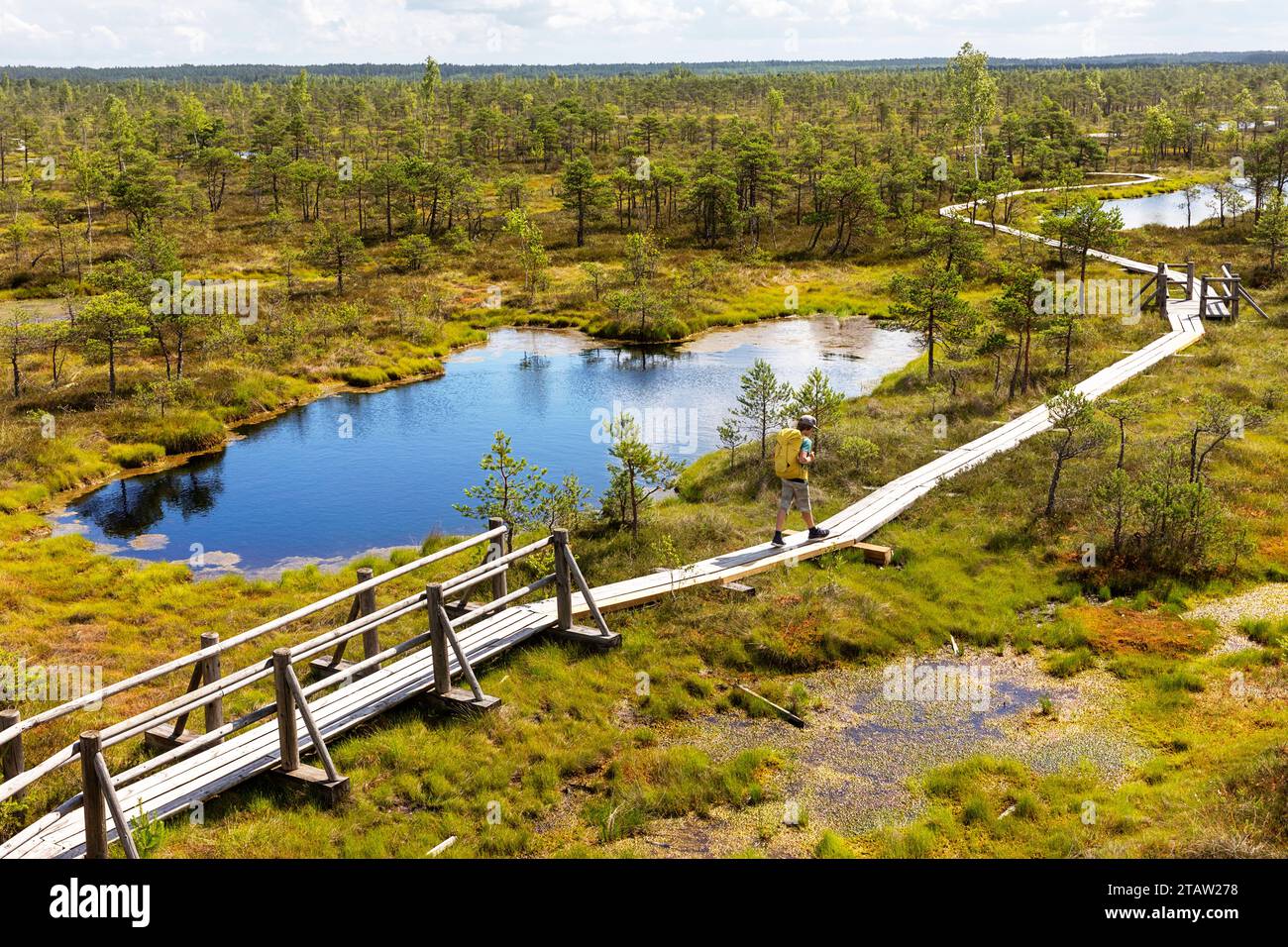 Tourist hiker on Kemeri Bog Boardwalk in a Kemeri National Park on a ...