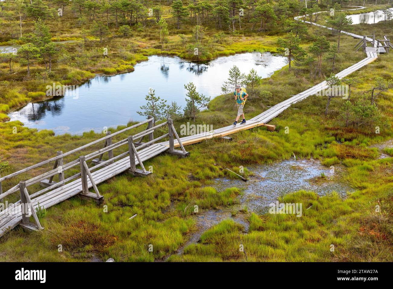 Tourist hiker on Kemeri Bog Boardwalk in a Kemeri National Park on a ...