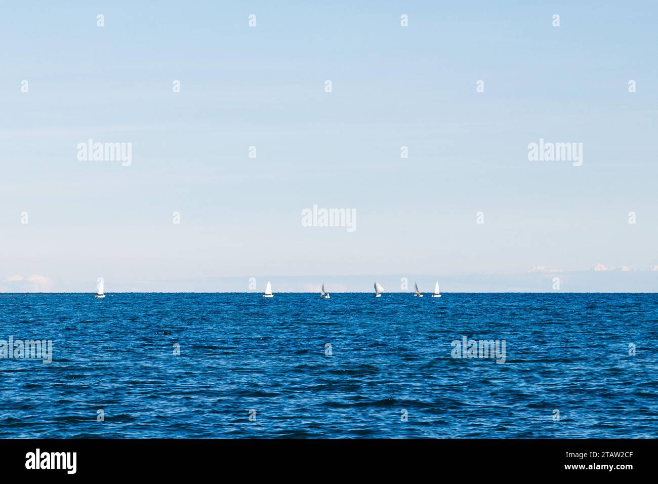 group of sailing boats on lake Stock Photo - Alamy