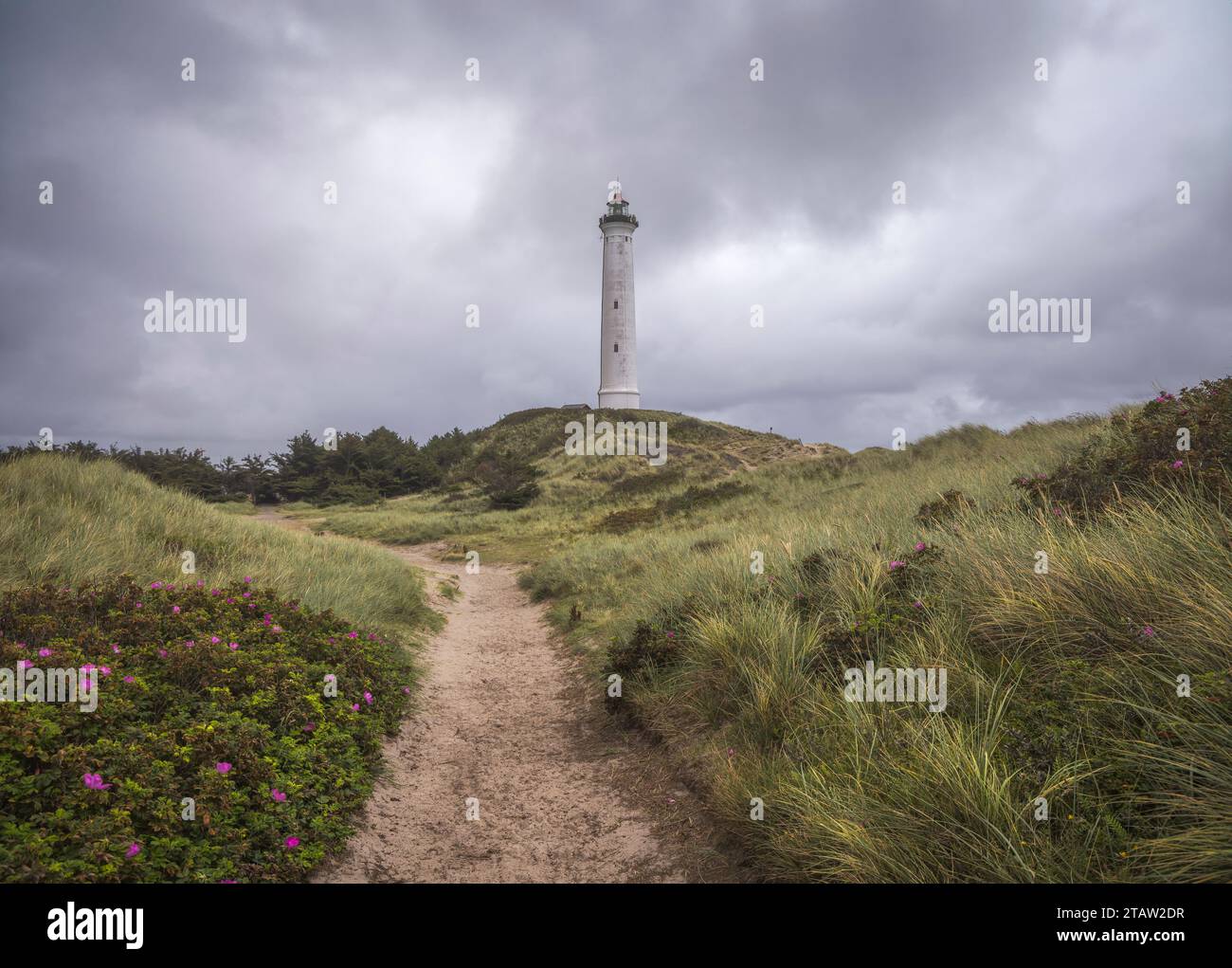 Lyngvig lighthouse in denmark hi-res stock photography and images - Alamy