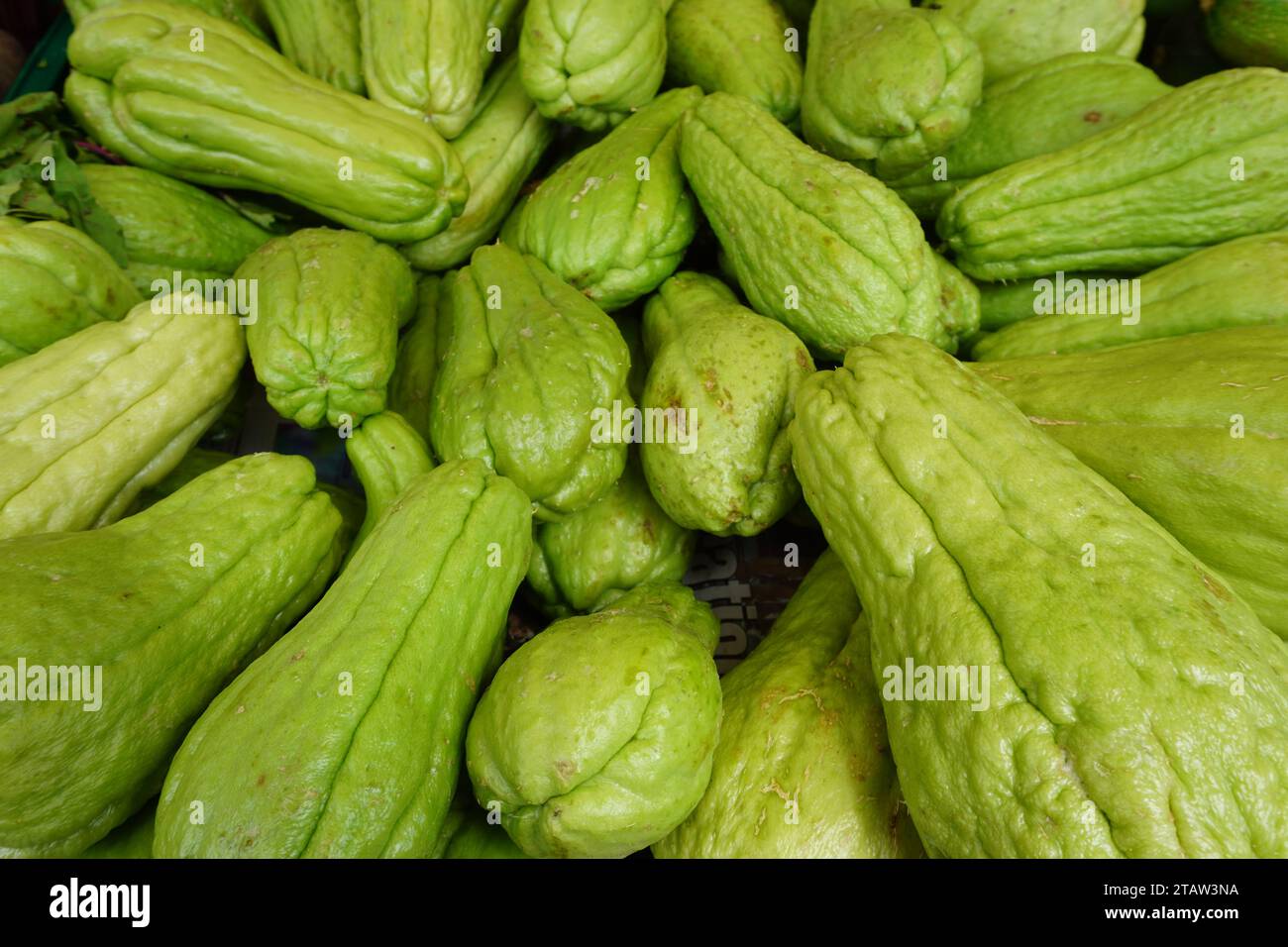 closeup of fresh veggies called chouchou or chayote on display for sale ...