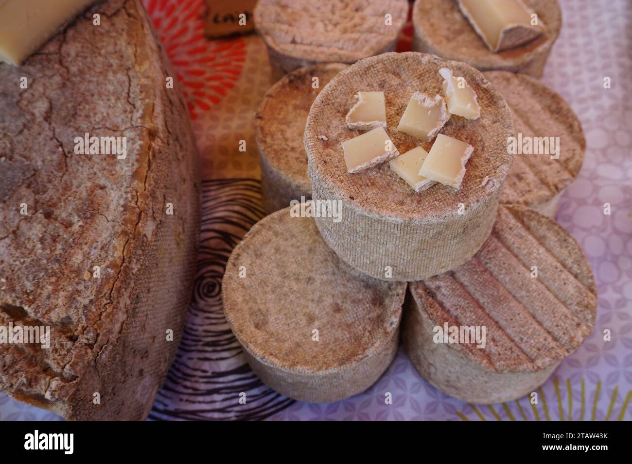 closeup of yummy country cheeses on display for sale at the market in ...