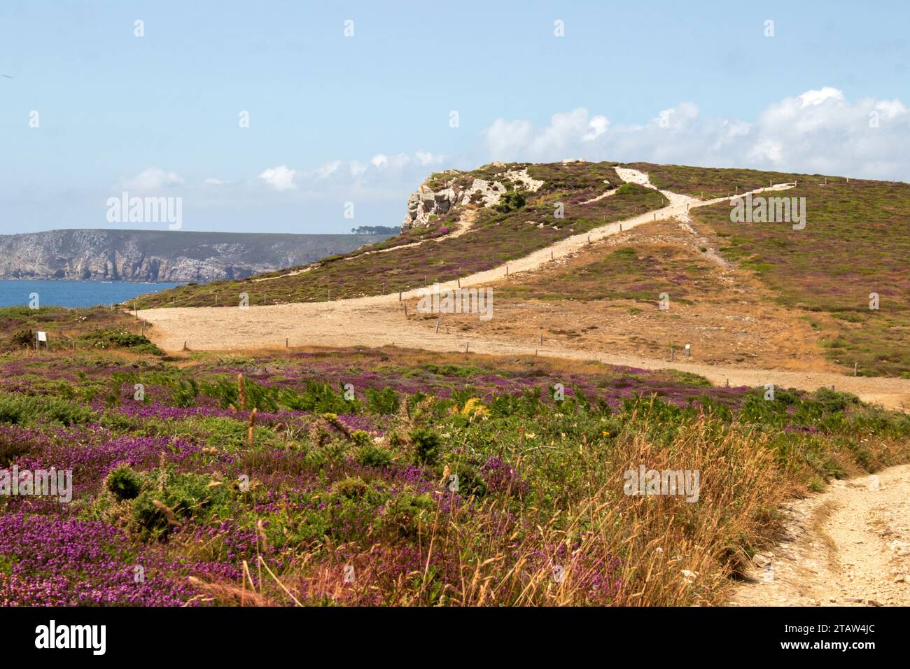 Coastal path at Pointe de Dinan on the Crozon peninsula. Finistère ...