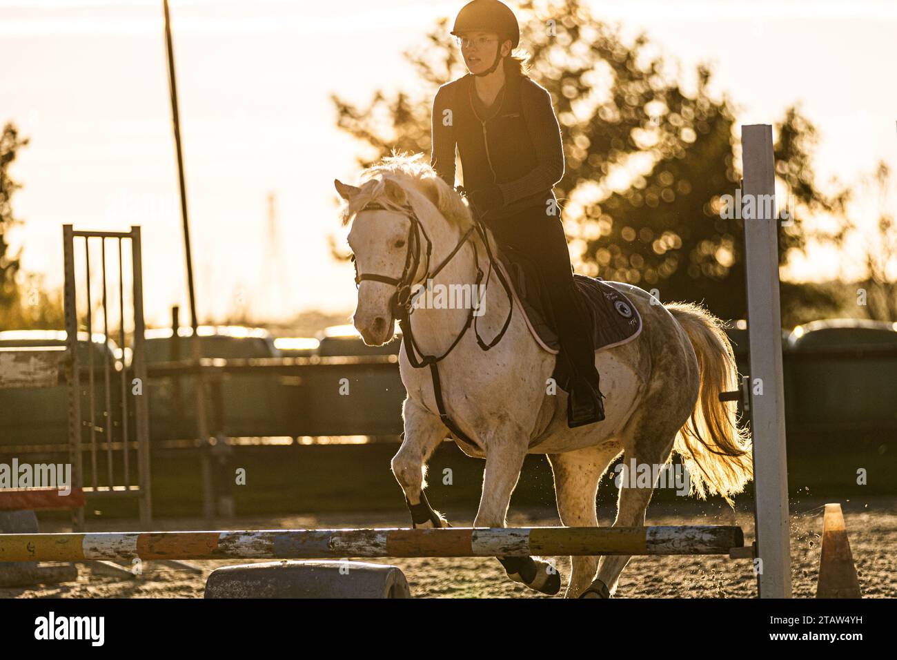 Young girl riding a horse and show jumping during training in a ...