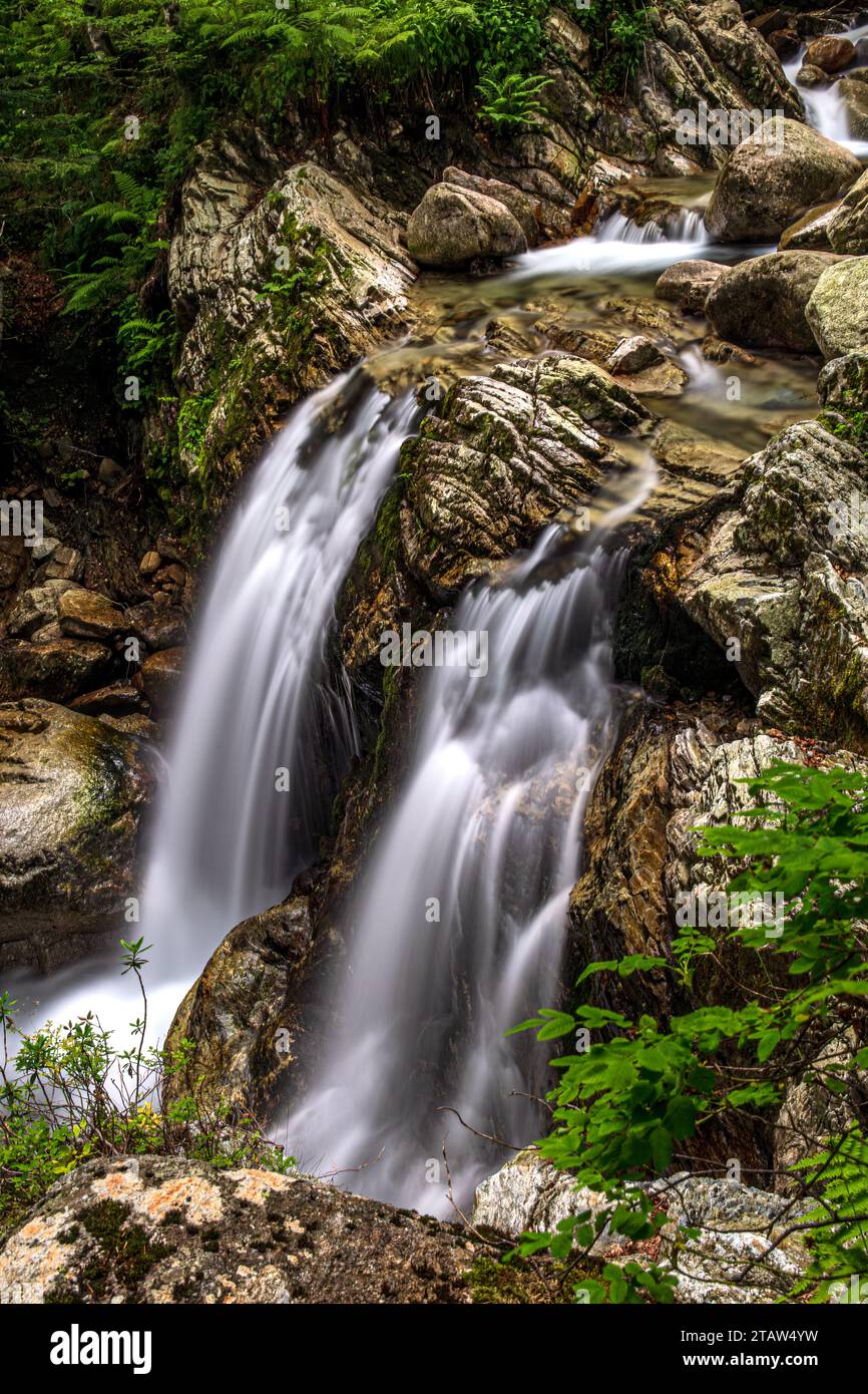 Small river forming a waterfall in Pyrénées mountains, France Stock ...