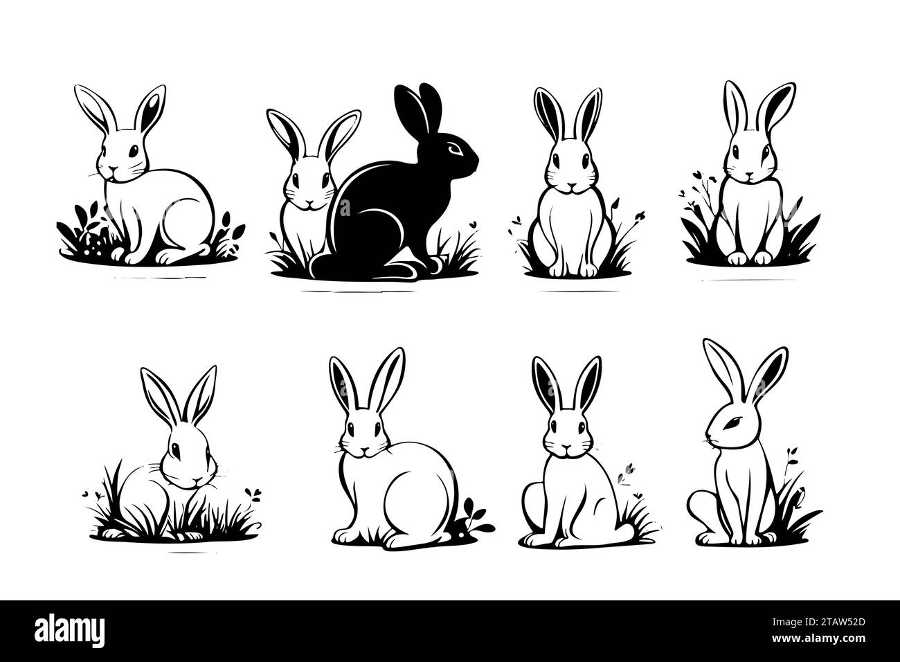 Isolated rabbit on white background, set of different rabbit ...